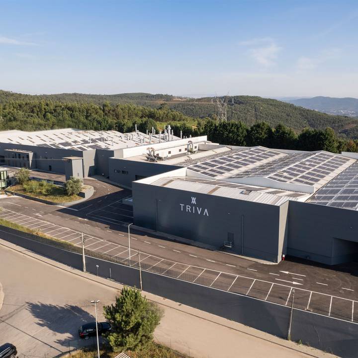 TRIVA Group – TRIVA Group